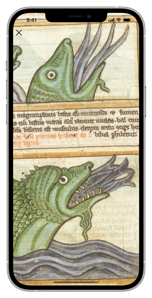 App – Old English Wordhord