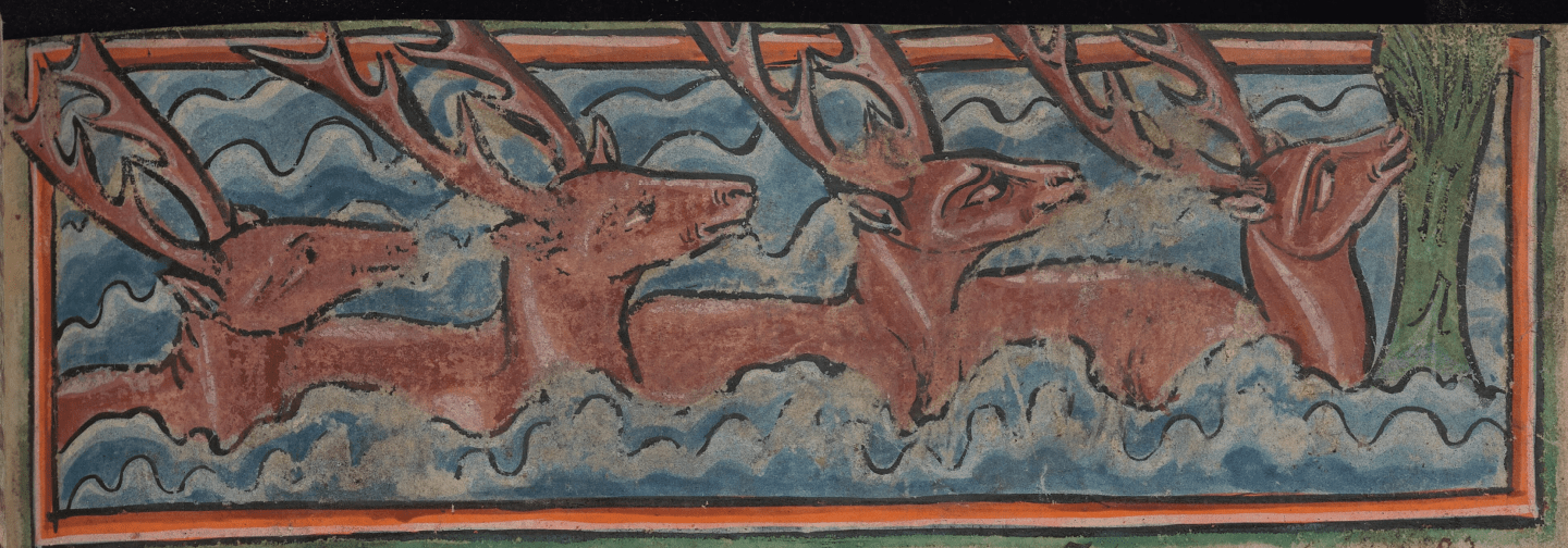 sund-hwæt – Old English Wordhord